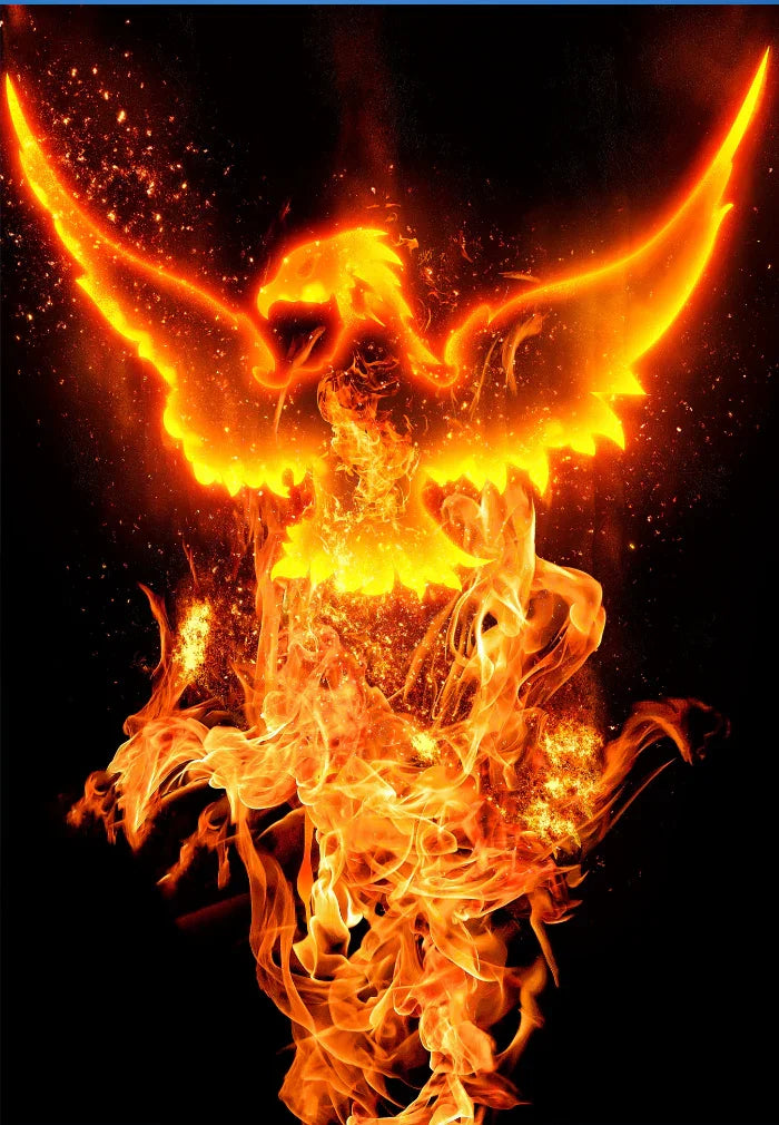 Rising From The Ashes: The Timeless Symbolism of the Phoenix