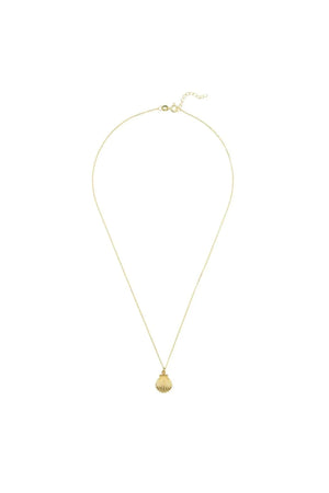 Scallop Mini Shell Necklace Gold
